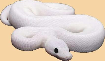 The sacred lake of the white python award winning sustainable tourism ...