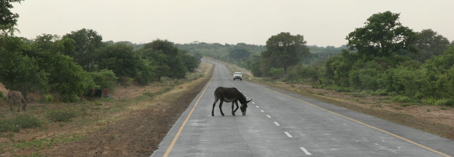 Practical tips for self-driving in Africa award winning sustainable ...